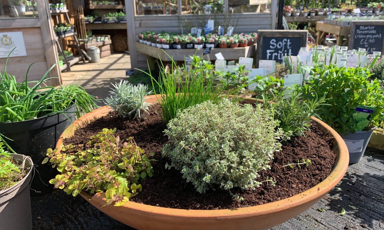How to create a herb planter