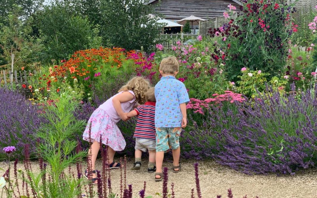 Duchy Woodland Animal Trail | Duchy of Cornwall Nursery