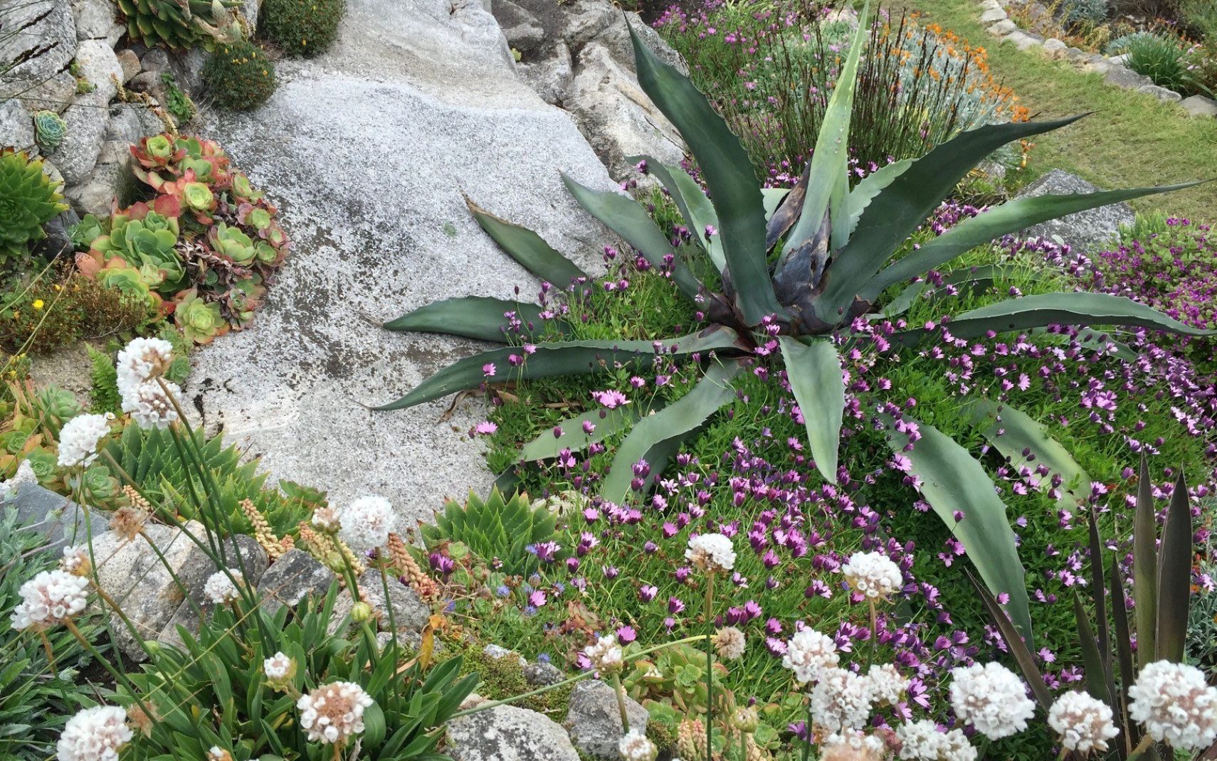 Plant Leaflets